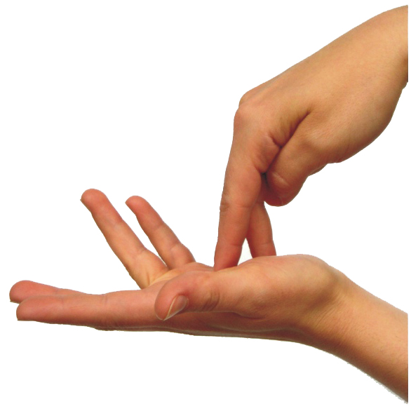 La Lengua de Signos y el lenguaje gestual y corporal - Escuela LSE Jaén